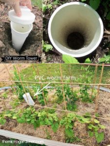 Creative Gardening Ideas With Inexpensive PVC Pipes