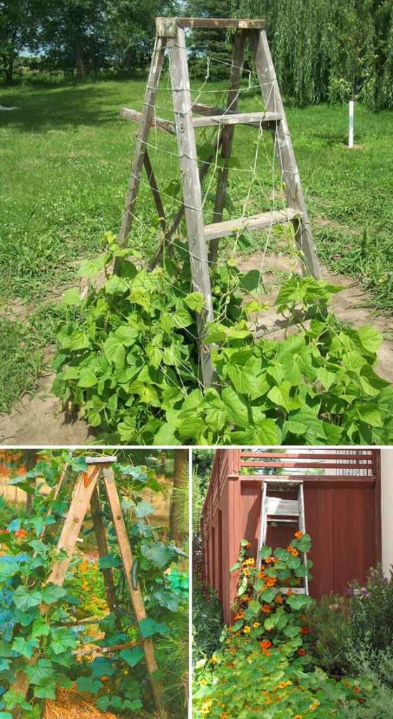 12 DIY Recycled Garden Trellis Ideas