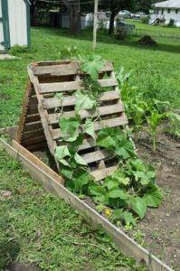 12 DIY Recycled Garden Trellis Ideas