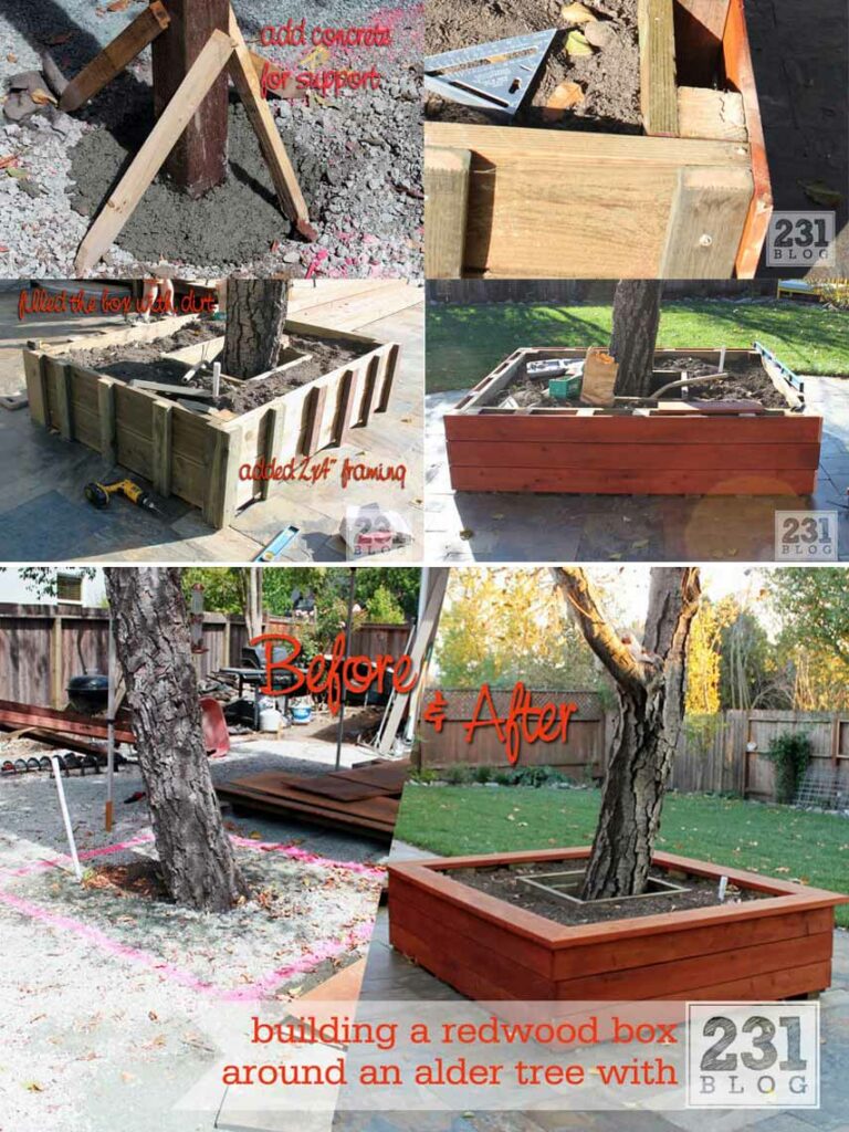21 Cool and Inspiring Benches Around Trees