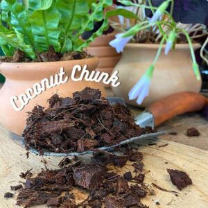 7 Best Soil Amendments You Need To Know