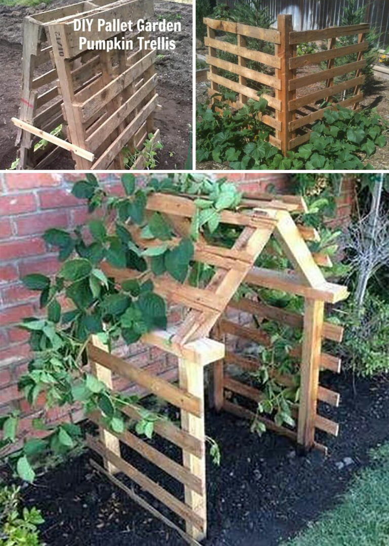 Top 28 Easy and Cheap DIY Garden Trellis Ideas