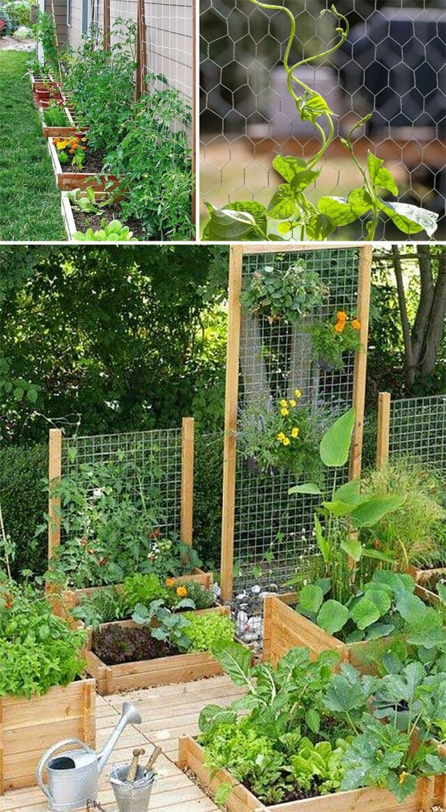 Top 28 Easy and Cheap DIY Garden Trellis Ideas