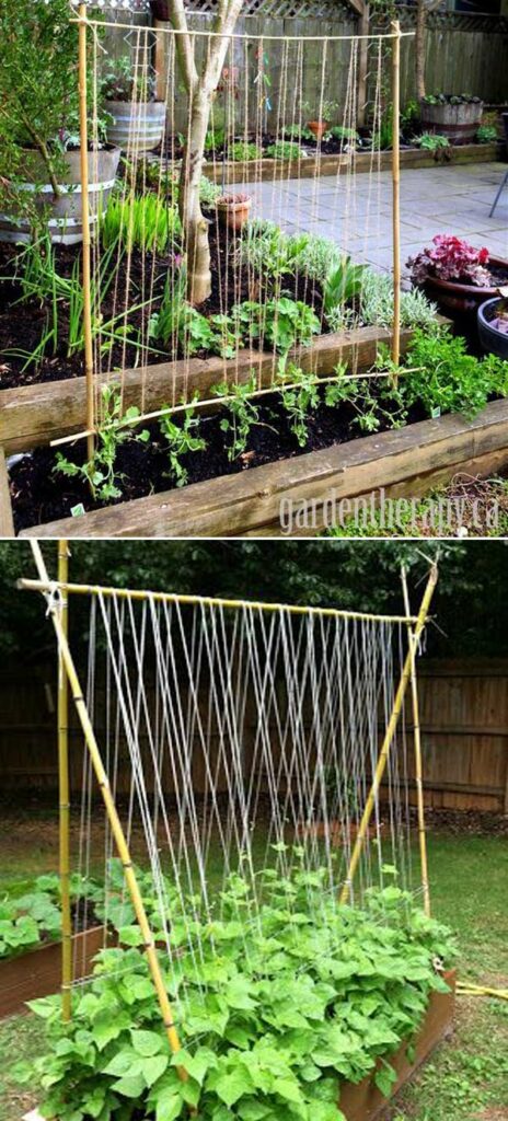 Top 28 Easy and Cheap DIY Garden Trellis Ideas