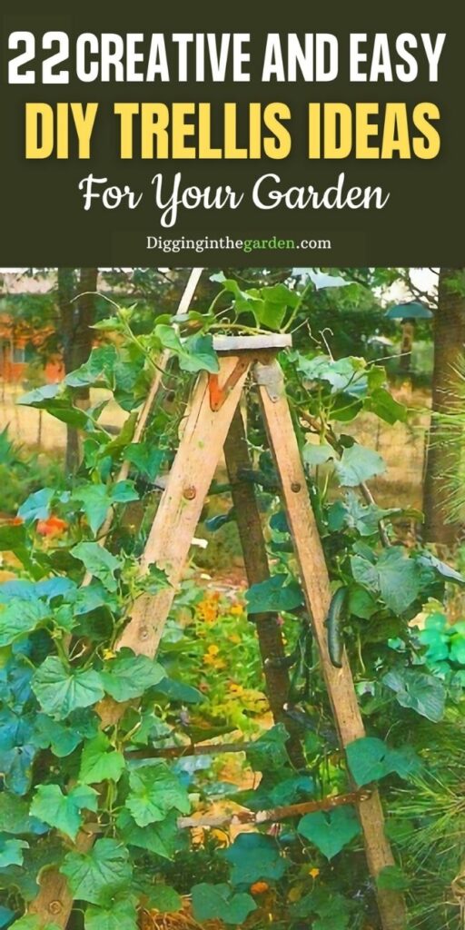 Top 28 Easy and Cheap DIY Garden Trellis Ideas