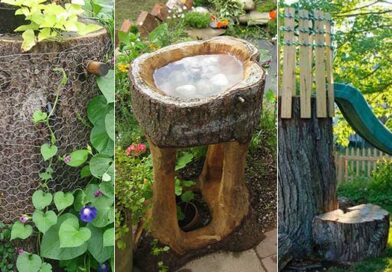 Best 26 Ideas of Decorating or Hiding a Tree Stump