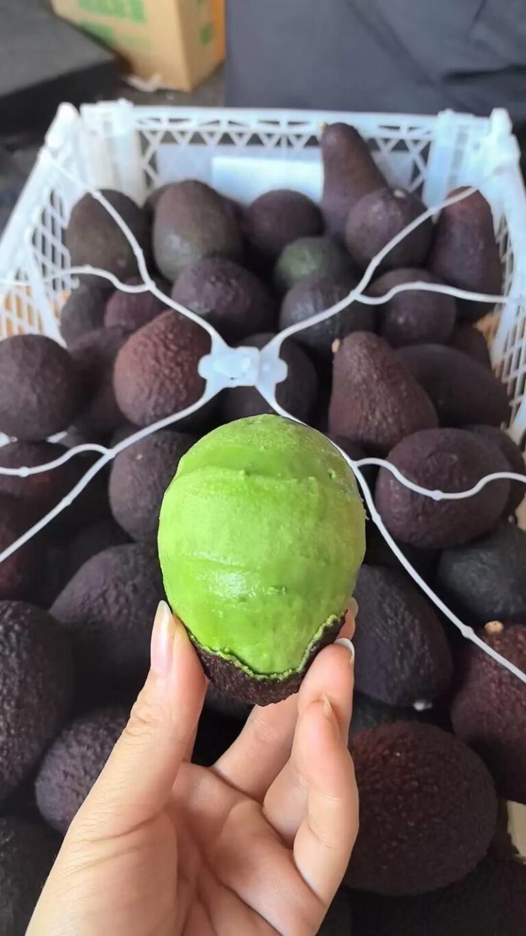 The Truth About Avocados: Fruit, Vegetable, or Both?